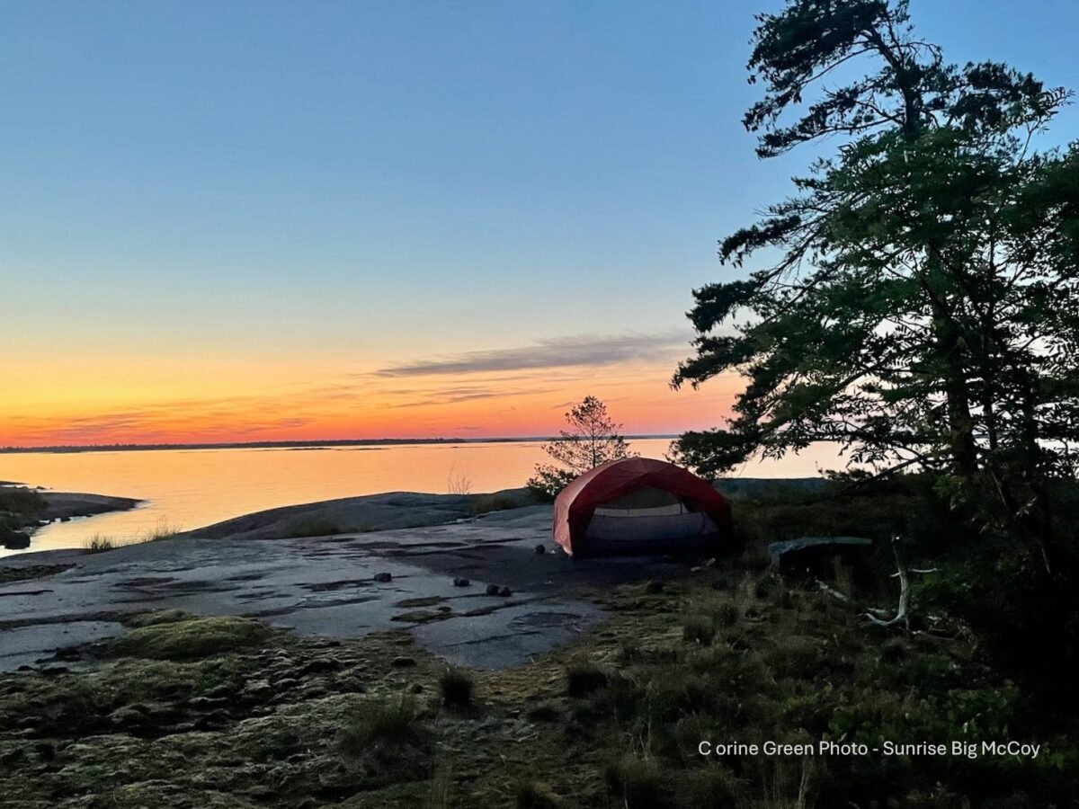 Hello Hoot from Cole Lake Coast | White Squall
